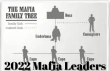 Mafia Bosses and Hierarchies in 2022 | About The Mafia